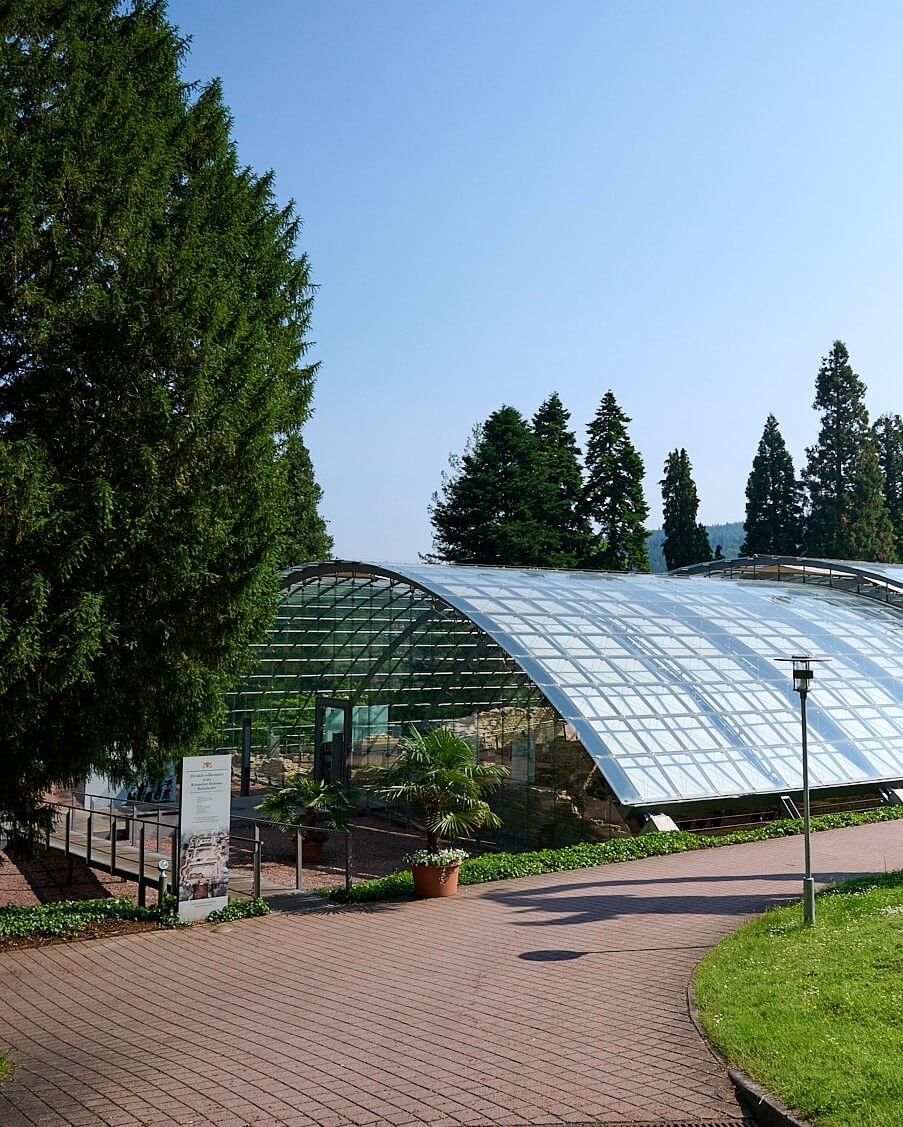 Culture & Experience - morgensonne.de